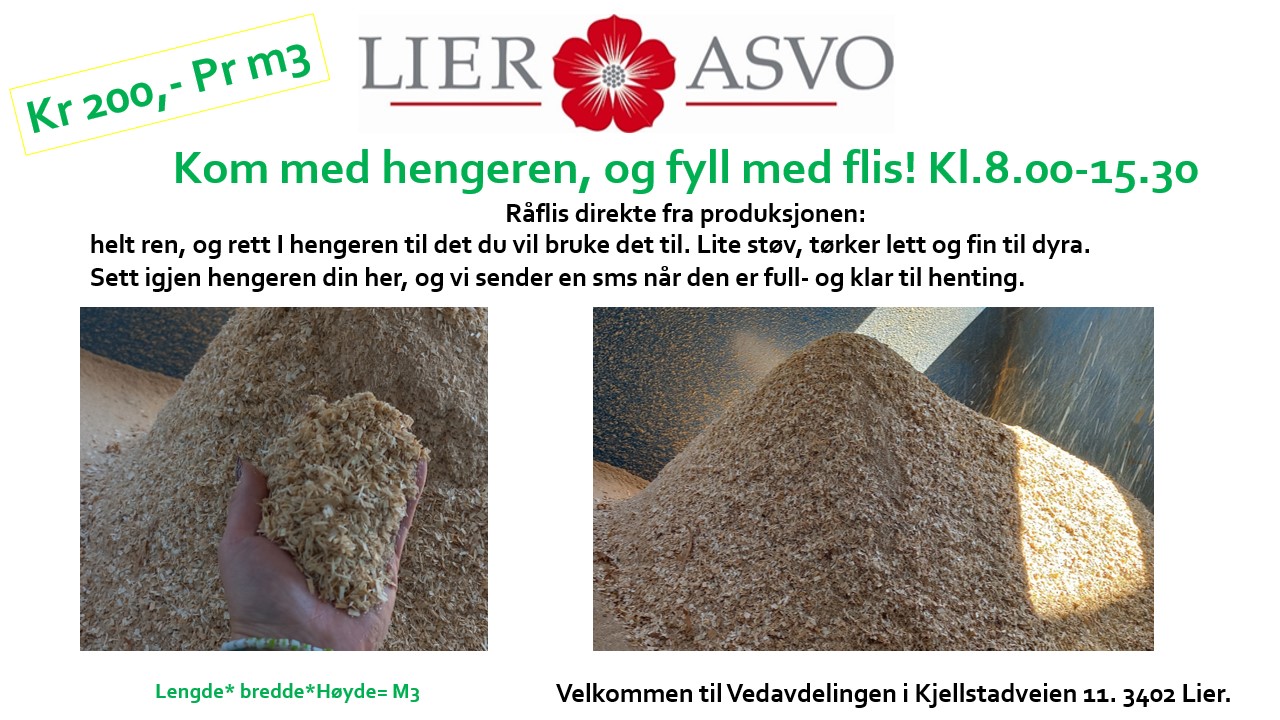 Flis | Lier ASVO Lier ASVO